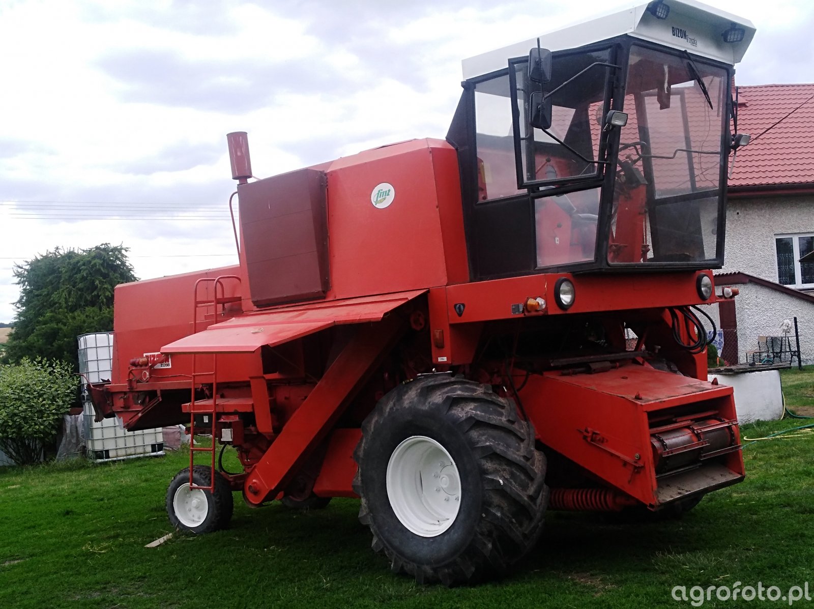 Bizon - Obrazek, fotka, zdjecie, photo #817637 - Galeria rolnicza agrofoto