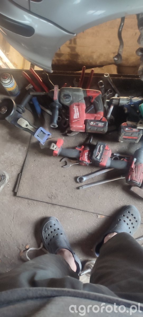 Milwaukee Berner - Obrazek, fotka, zdjecie, photo #819244 - Galeria ...