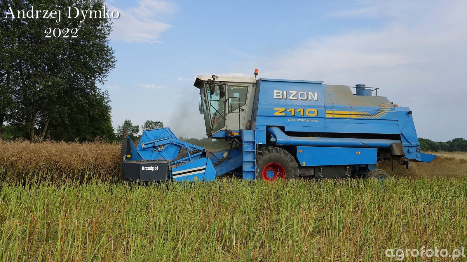 Bizon BS Z110 - Obrazek, fotka, zdjecie, photo #820259 - Galeria ...