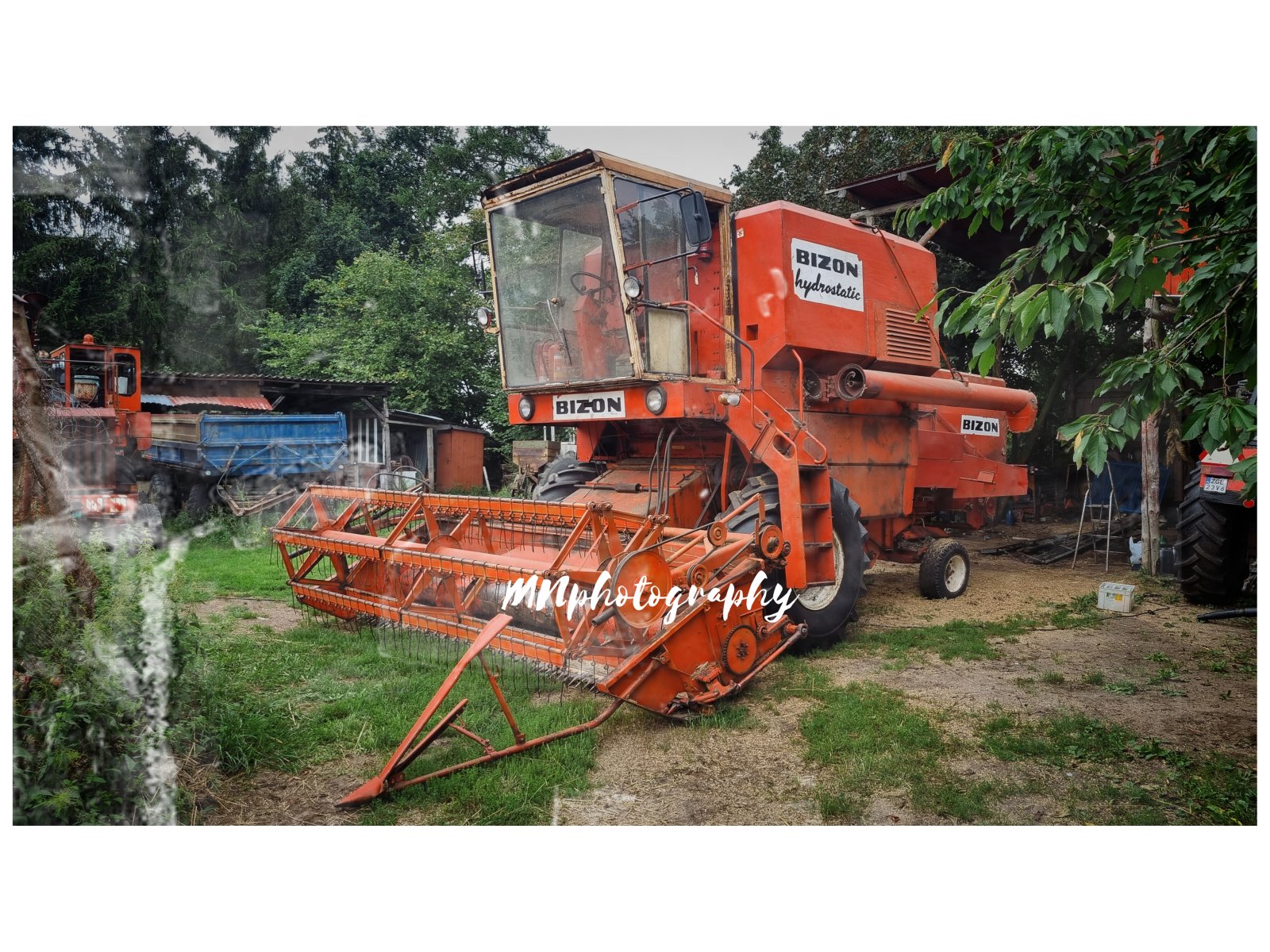 Kombajn BIZON Z055 Hydrostatic - fotka #819360 - Galeria rolnicza agrofoto