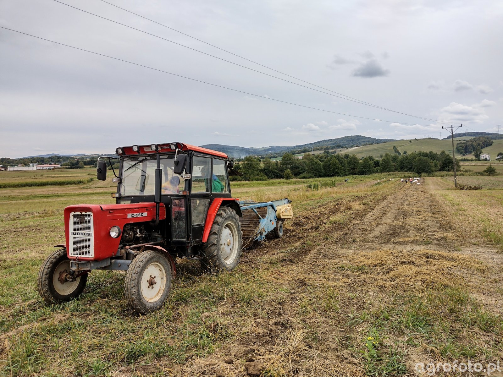 Obraz traktor Ursus C-360 & Kopaczka elewatorowa #819848 - Galeria ...
