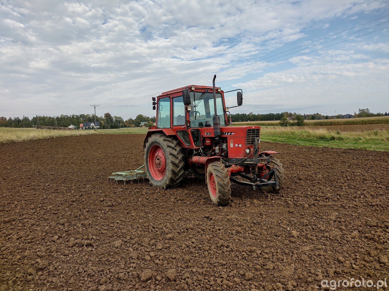 Obraz traktor MTZ 82. & Brony id:820470 - Galeria rolnicza agrofoto