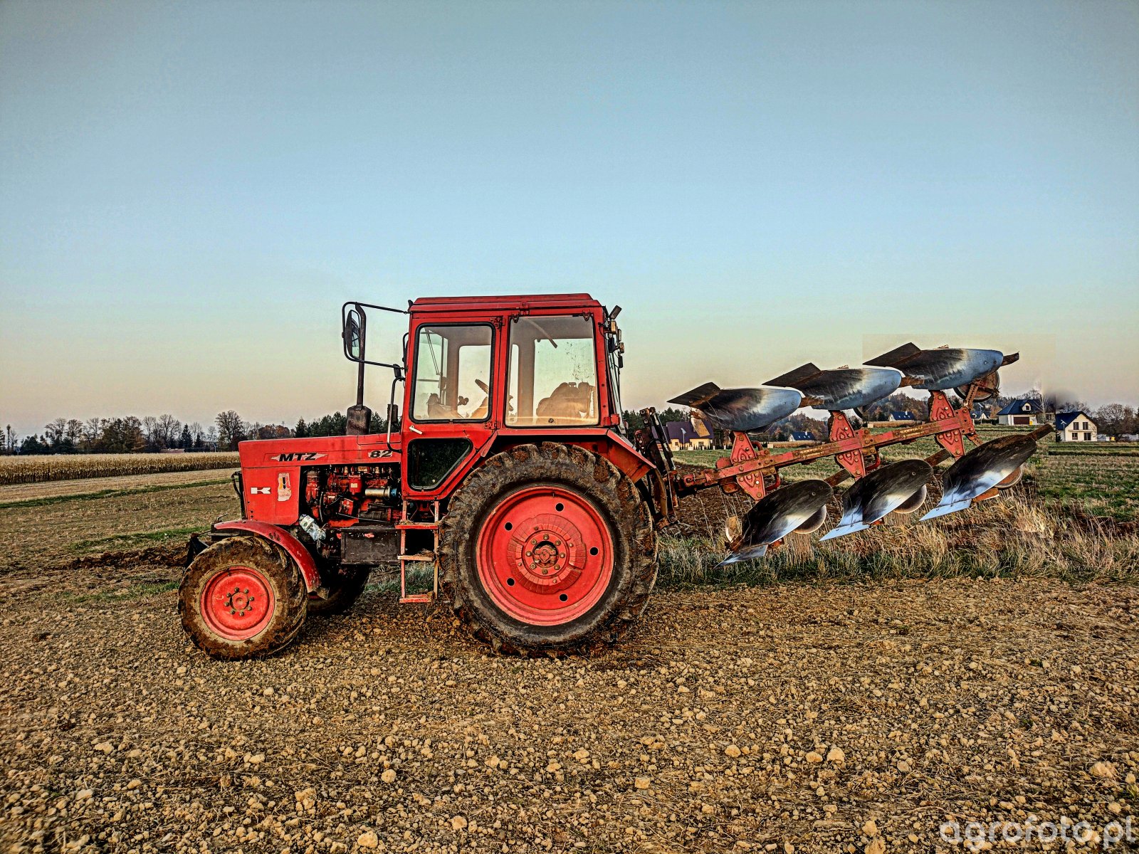 Foto traktor Mtz 82 & Krone id:821311 - Galeria rolnicza agrofoto