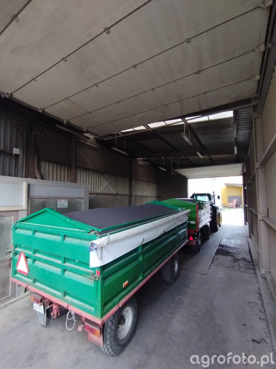 Rzepak - Obrazek, fotka, zdjecie, photo #828800 - Galeria rolnicza agrofoto