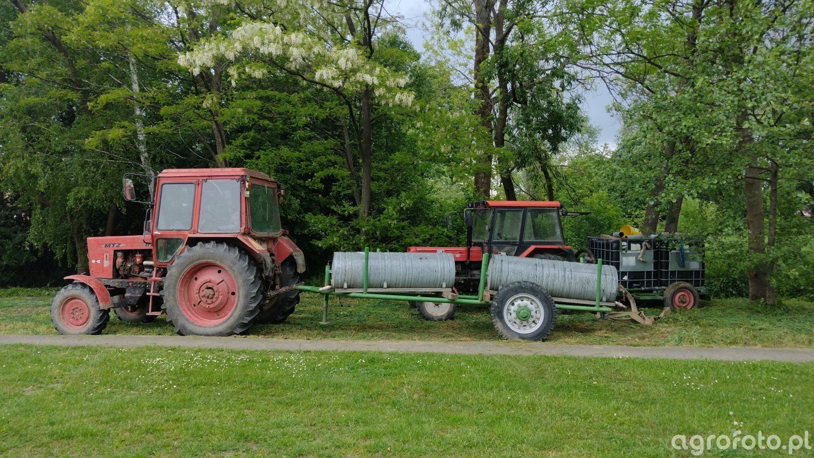 Foto traktor MTZ 82 & Beczki id:835358 - Galeria rolnicza agrofoto