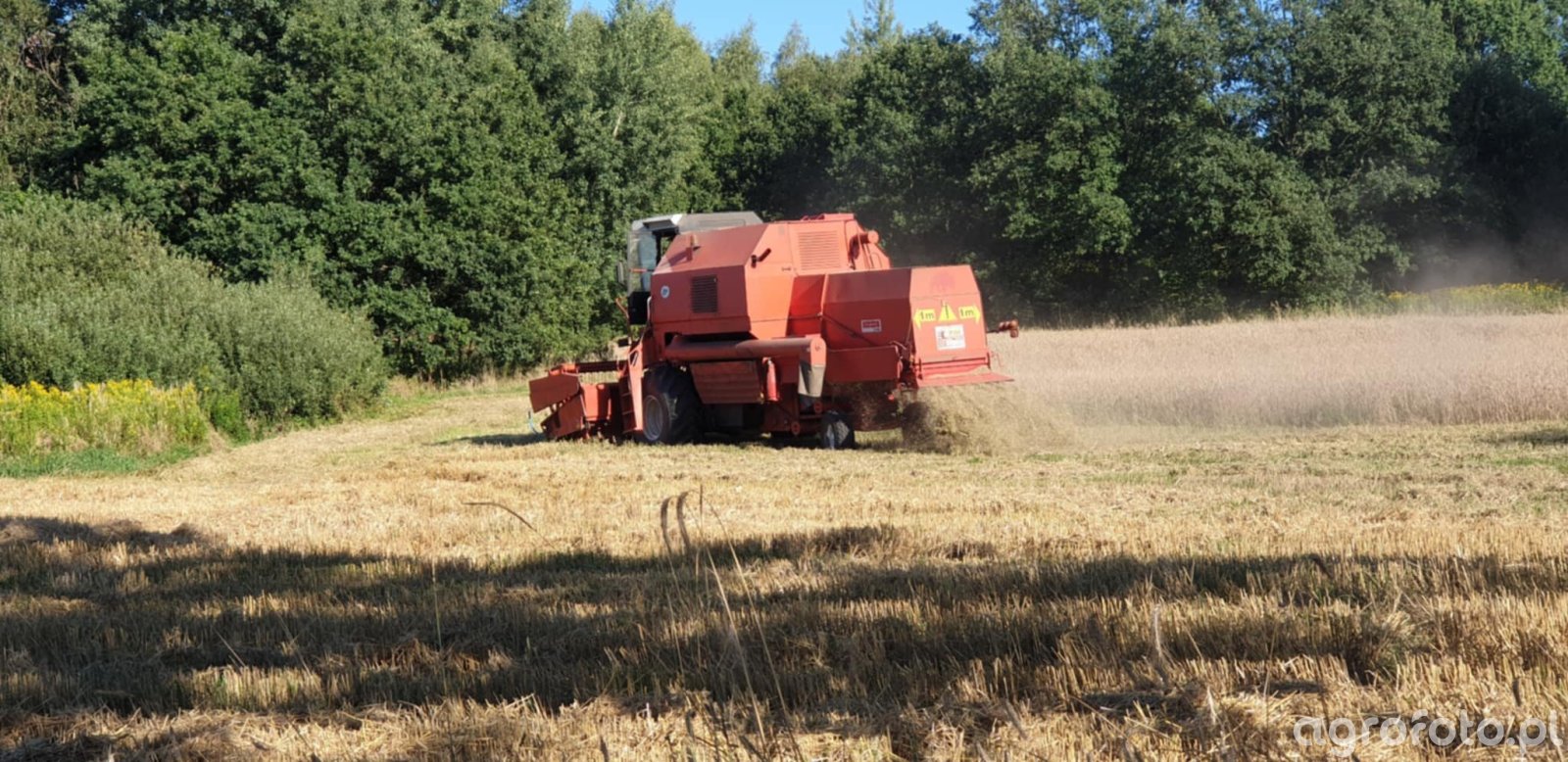 Bizon rekord - Obrazek, fotka, zdjecie, photo #845229 - Galeria ...